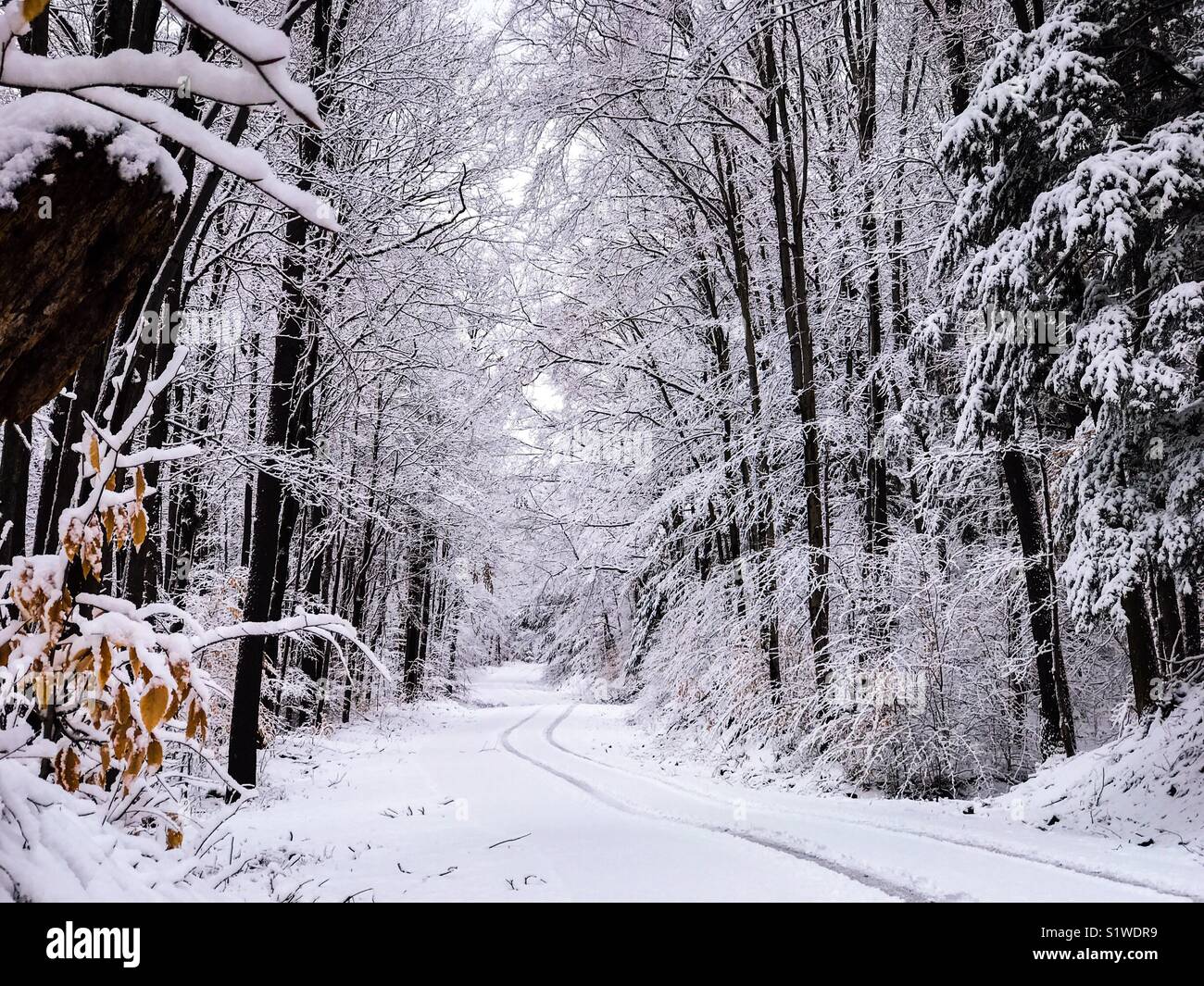 Snowy roads take me home Stock Photo - Alamy