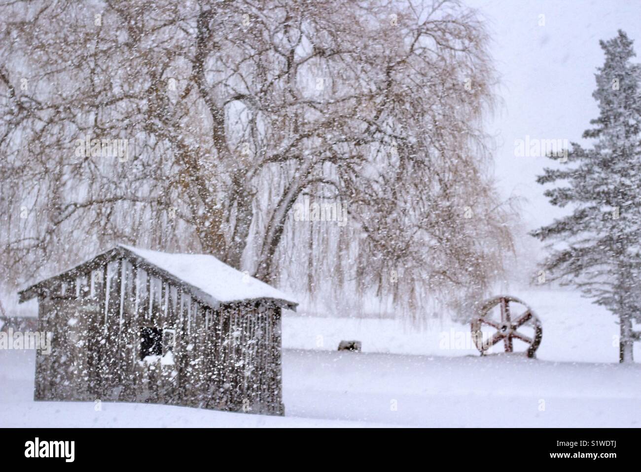 Snow falling on a cabin Stock Photo - Alamy
