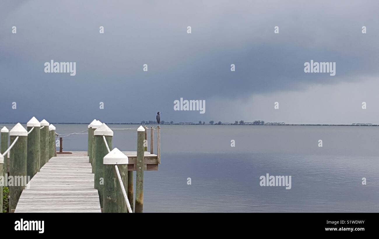 Beautiful flat lake and bridge Stock Photo - Alamy