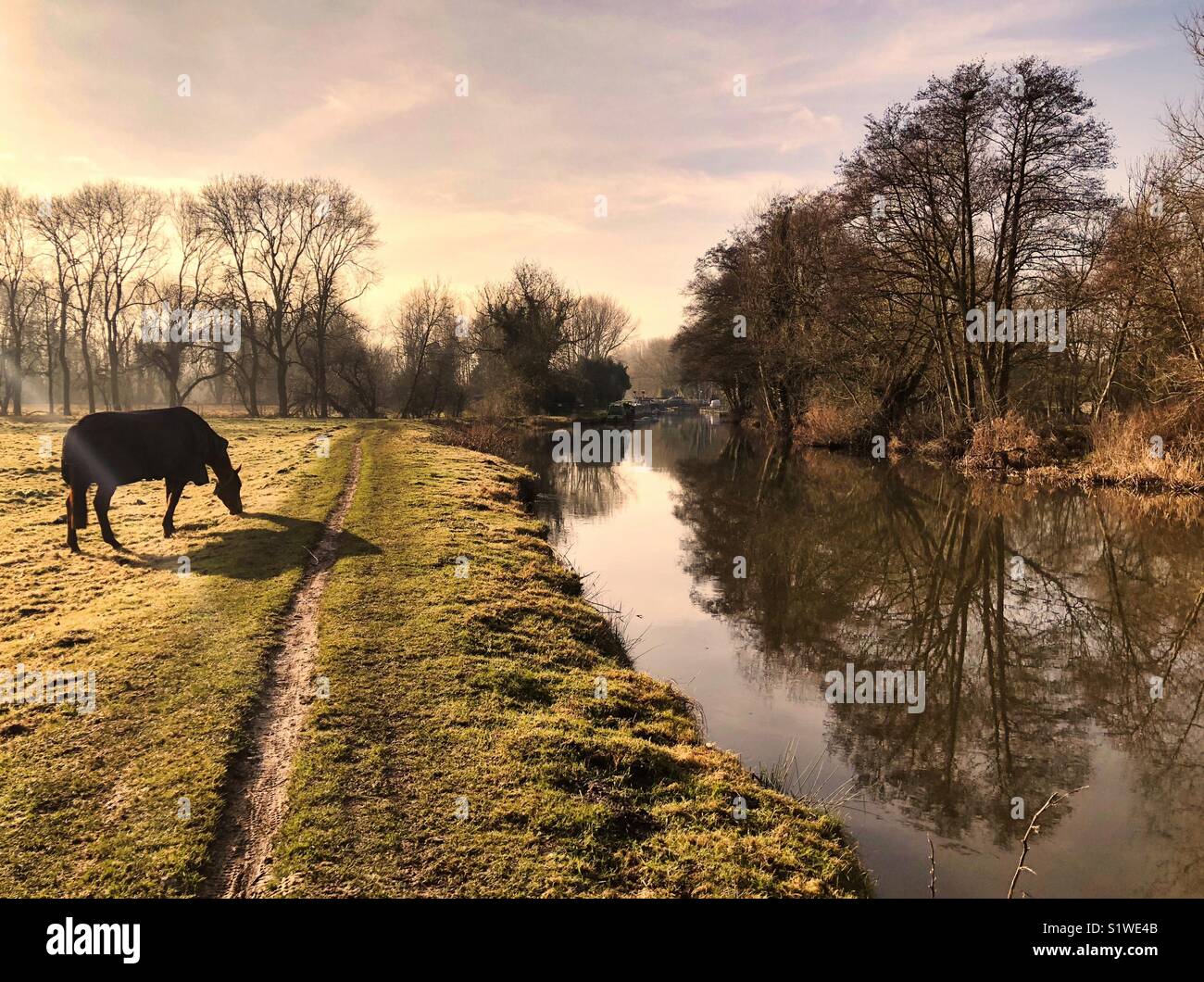 Canal landscape hi-res stock photography and images - Alamy