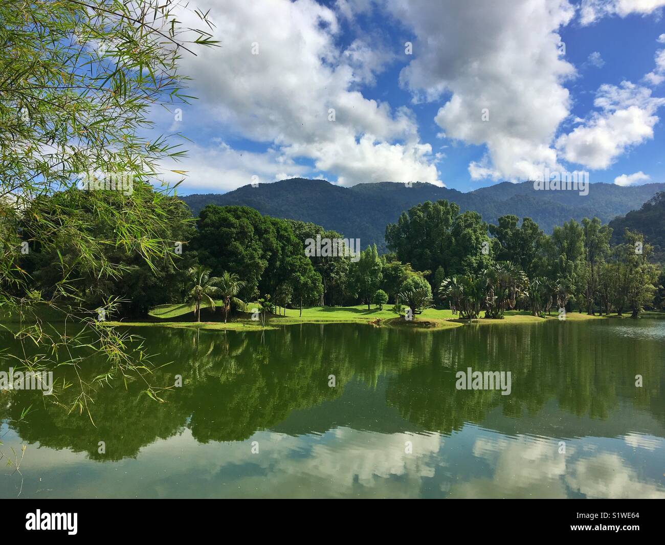 Taiping Lake Gardens High Resolution Stock Photography and Images - Alamy