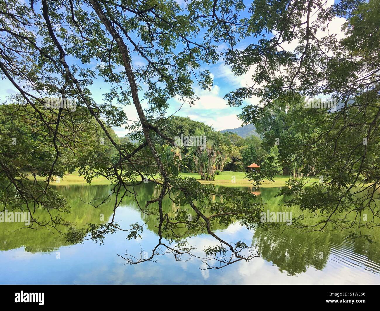 Taiping Lake Gardens High Resolution Stock Photography and Images - Alamy
