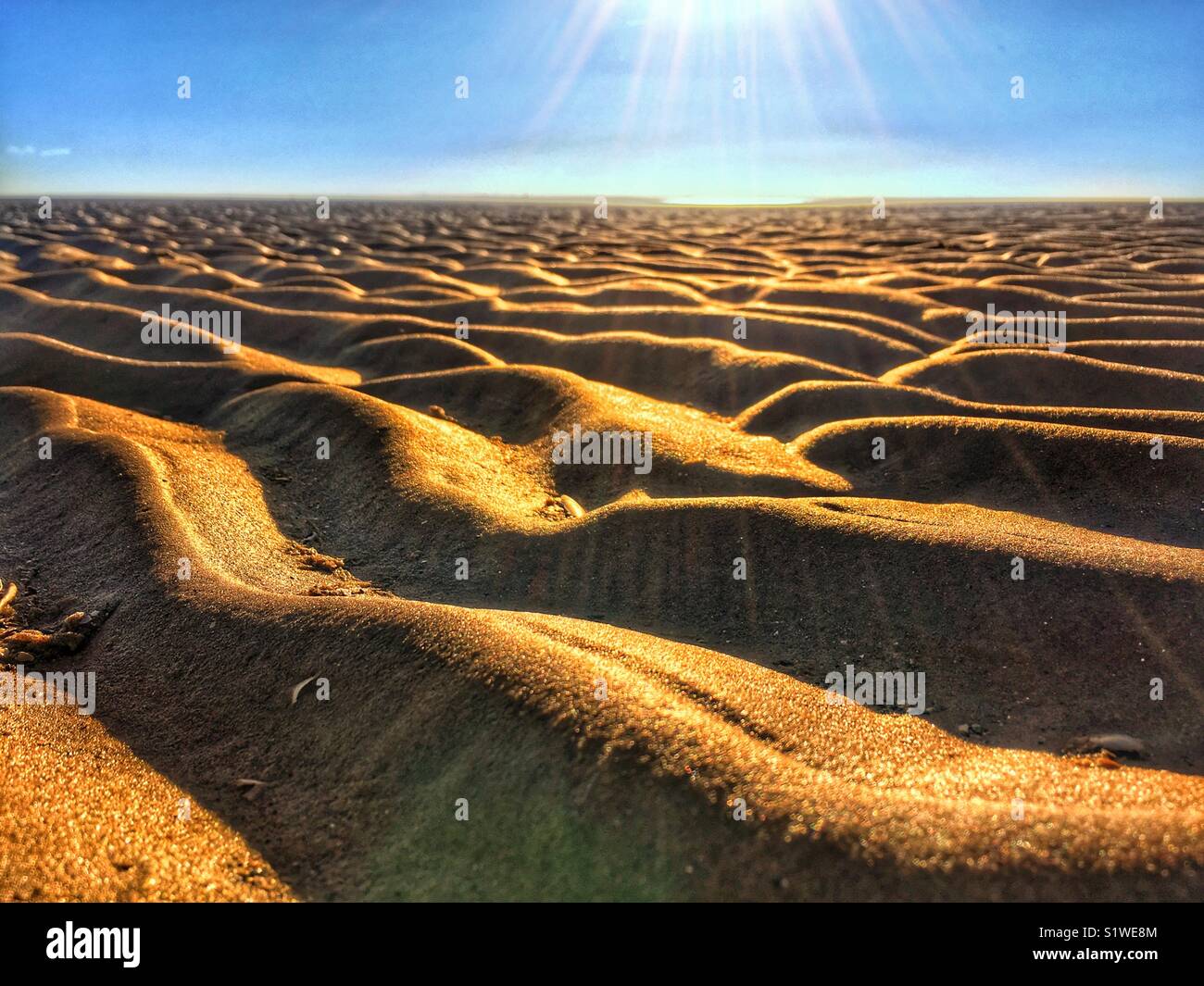 Ripples in sand exaggerated by low angle and cross light Stock Photo ...