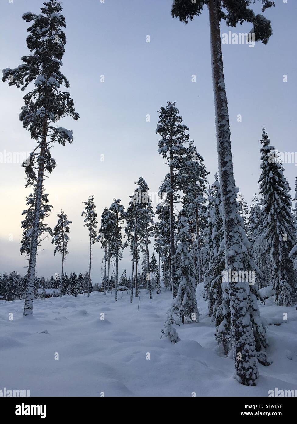 Winterland hi-res stock photography and images - Alamy