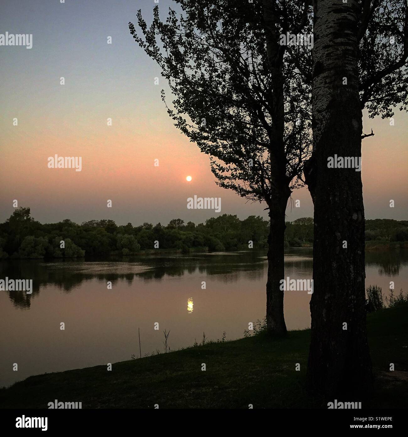 Moon and tree at sunset hi-res stock photography and images - Alamy