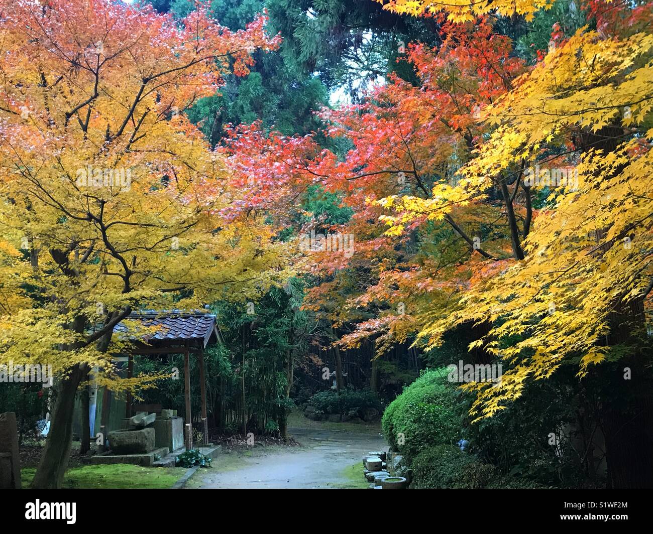 Japanese garden shelter hi-res stock photography and images - Alamy