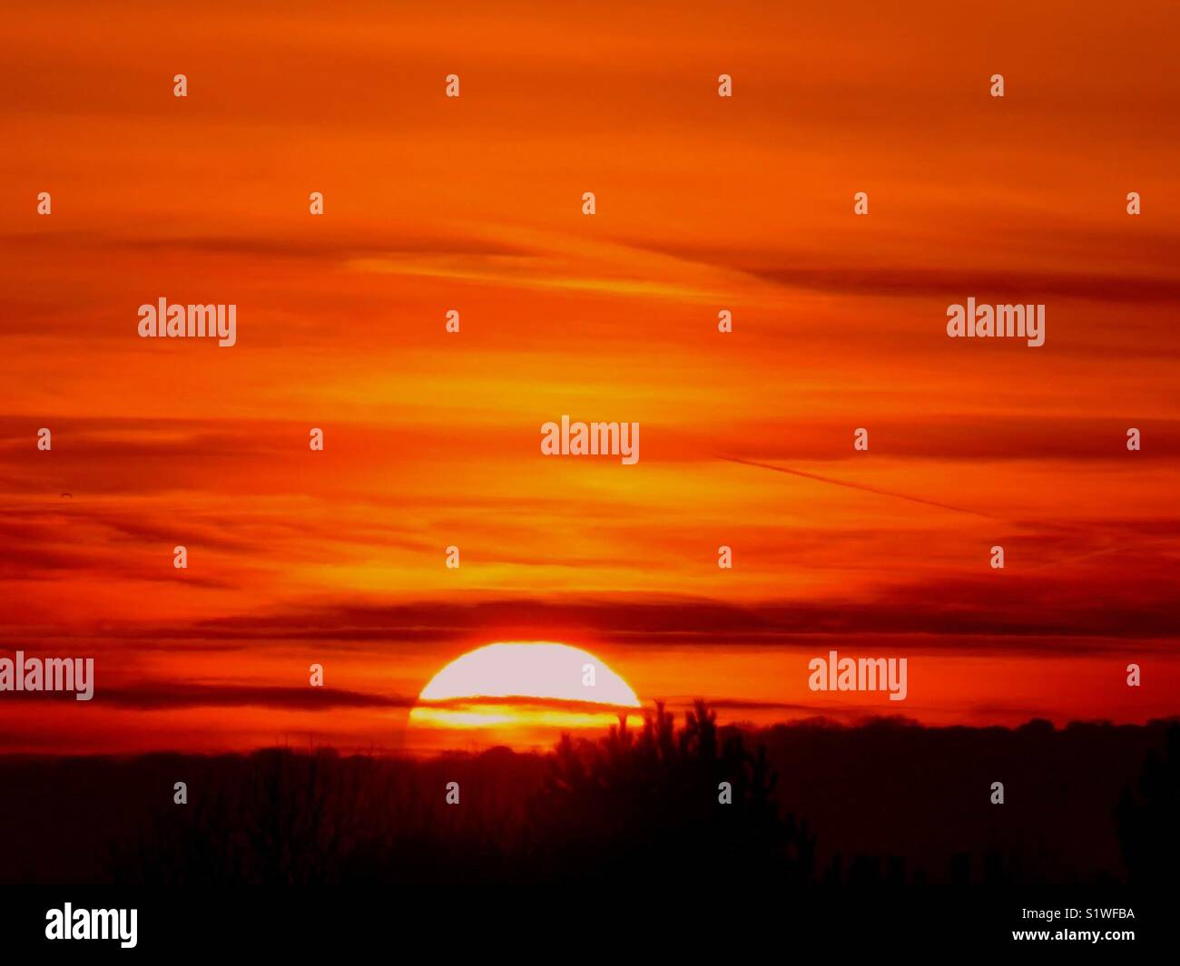 Sun setting behind trees on the horizon Stock Photo - Alamy