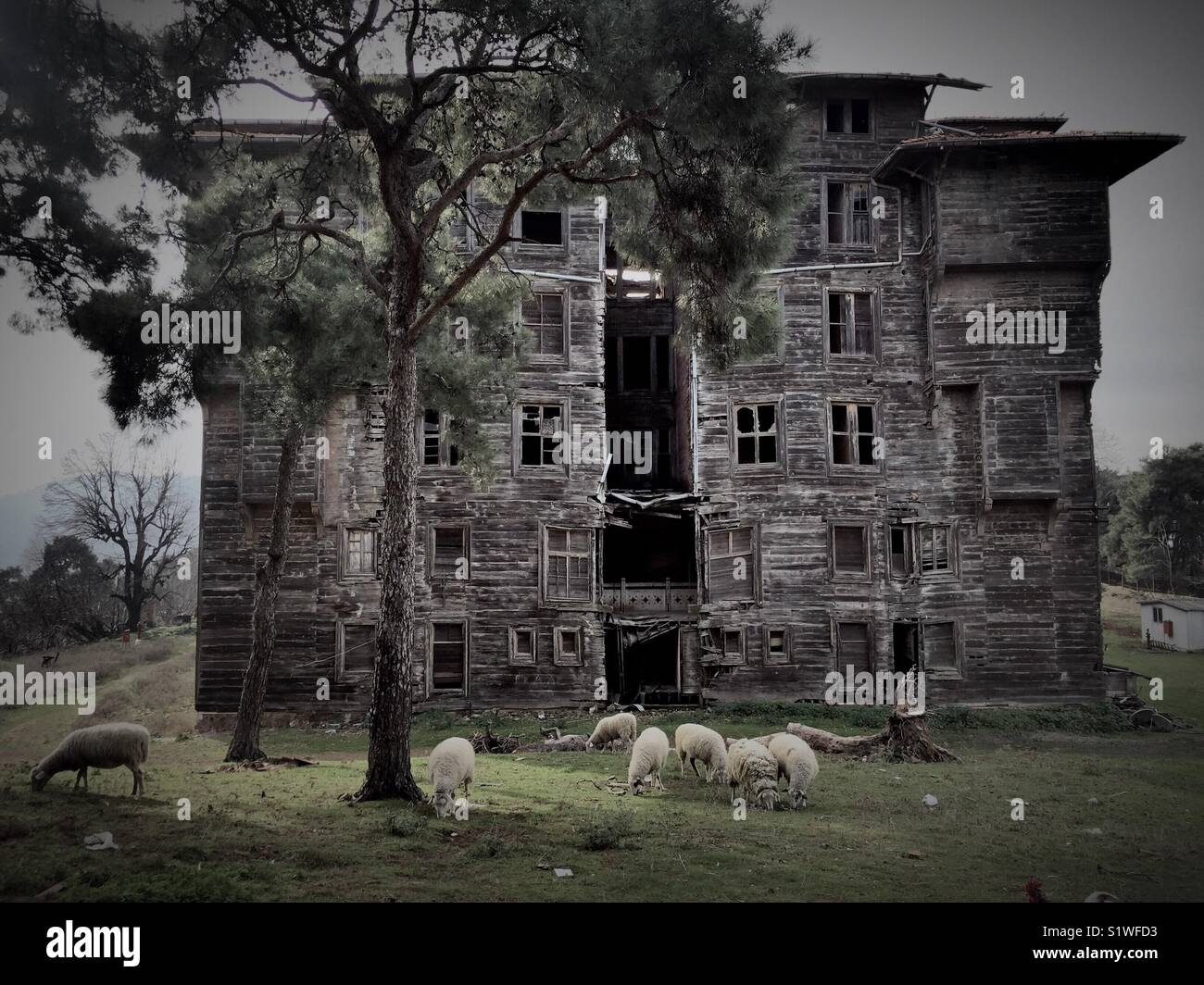 Spooky House High Resolution Stock Photography and Images - Alamy