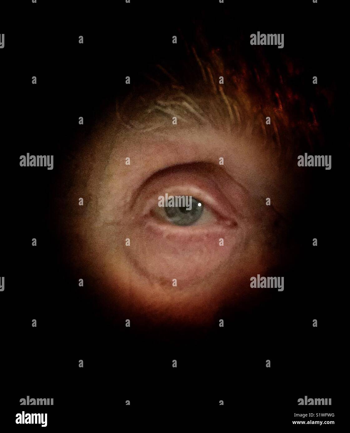 Adult male eye Stock Photo - Alamy