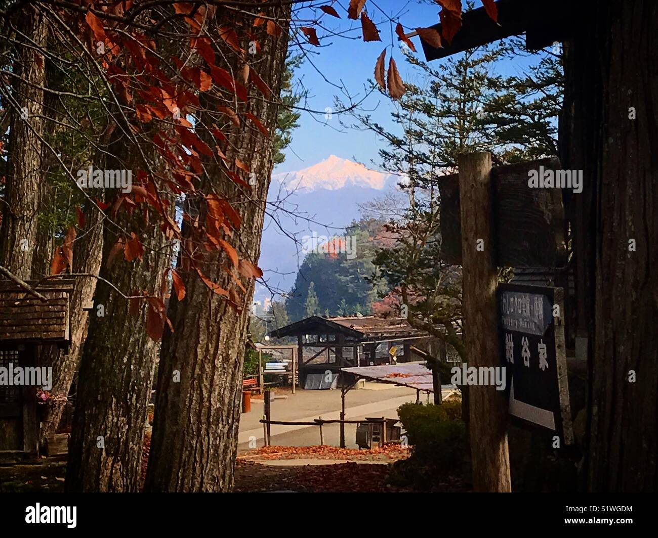 View of Japanese Alps from woods in autumn Stock Photo - Alamy