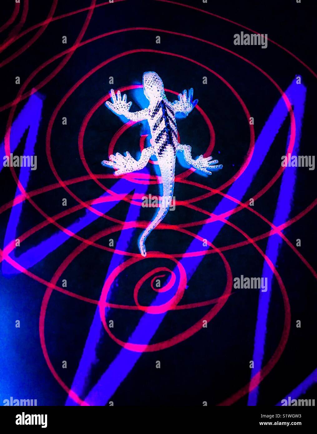 Abstract lizards hi-res stock photography and images - Alamy