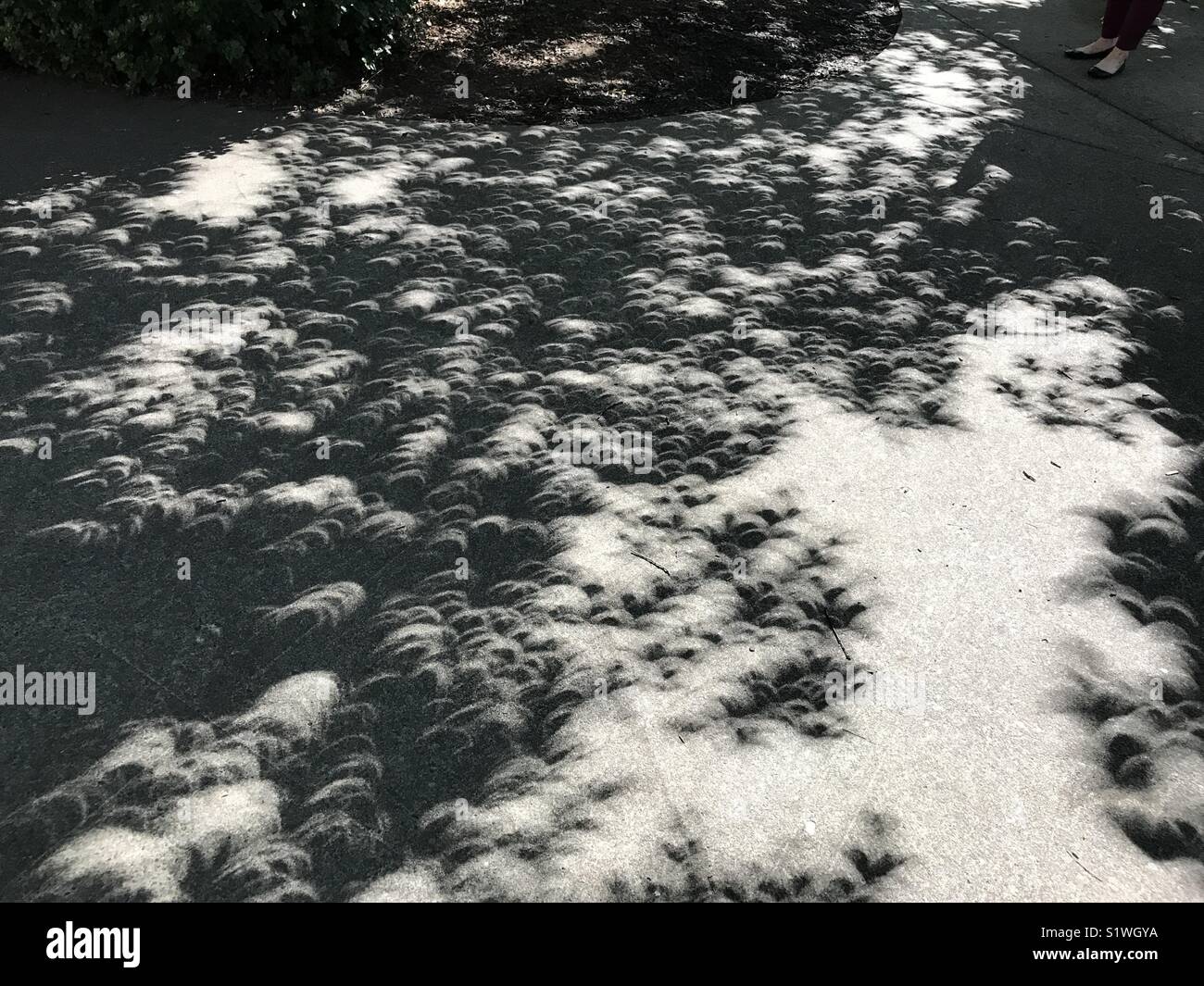 Oregon eclipse hi-res stock photography and images - Alamy