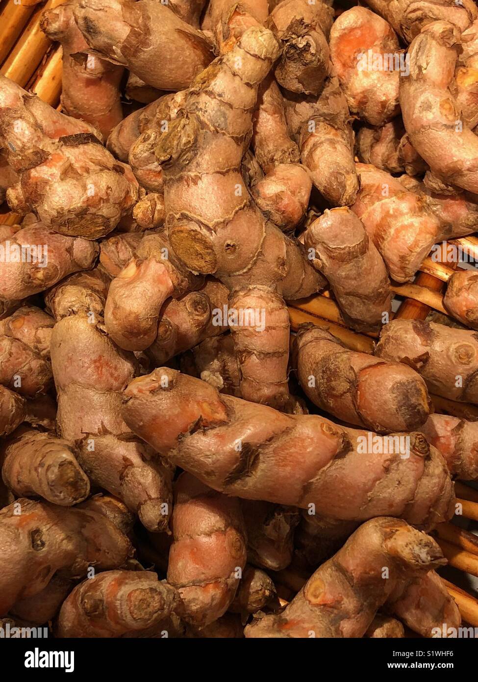 Source of curcumin hi-res stock photography and images - Alamy