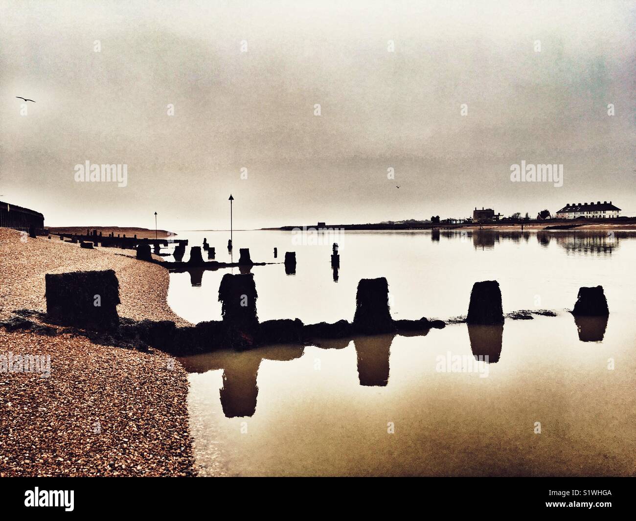 River Deben estuary Bawdsey Ferry Suffolk UK Stock Photo - Alamy
