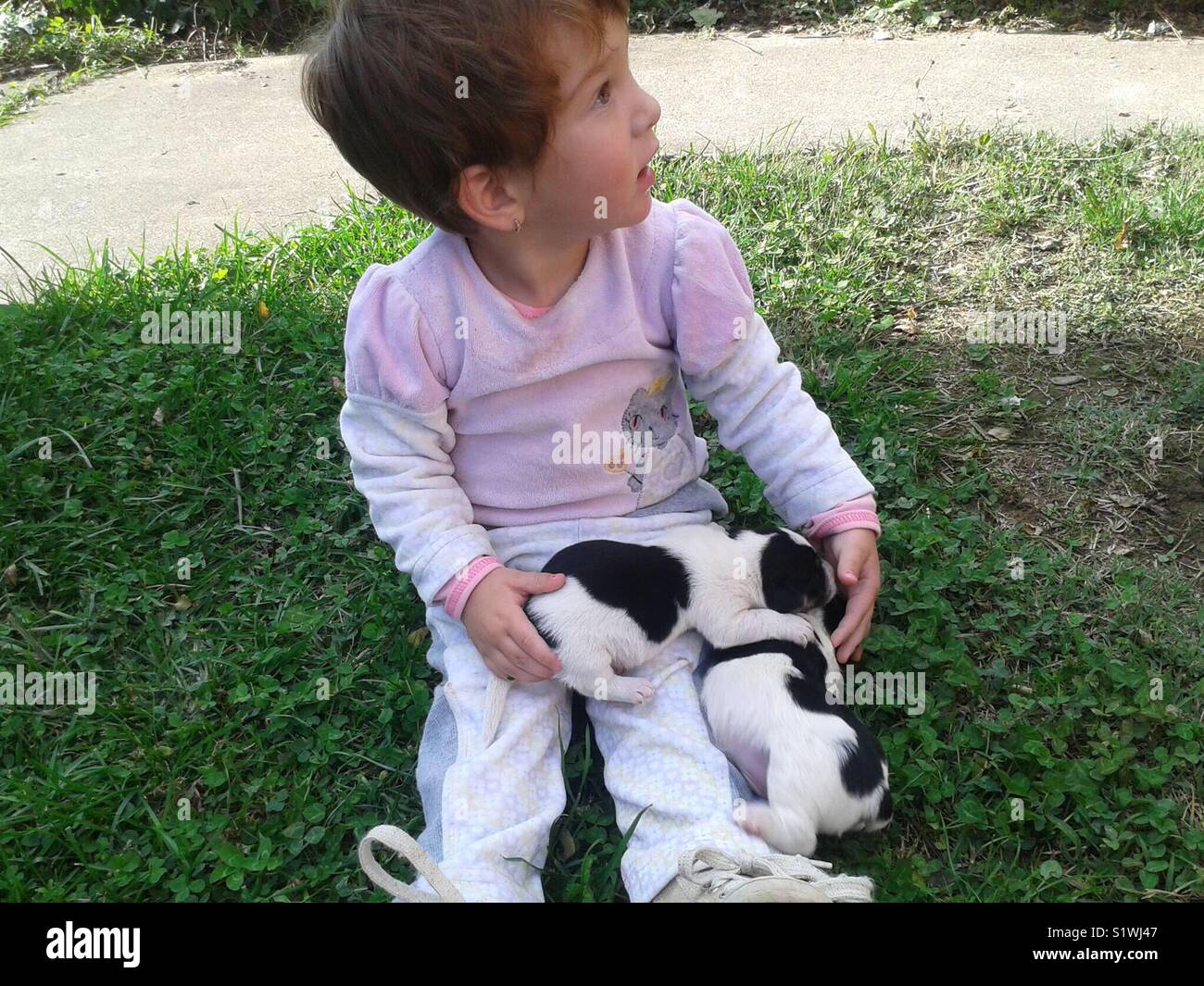 Little cutie holding puppies Stock Photo - Alamy