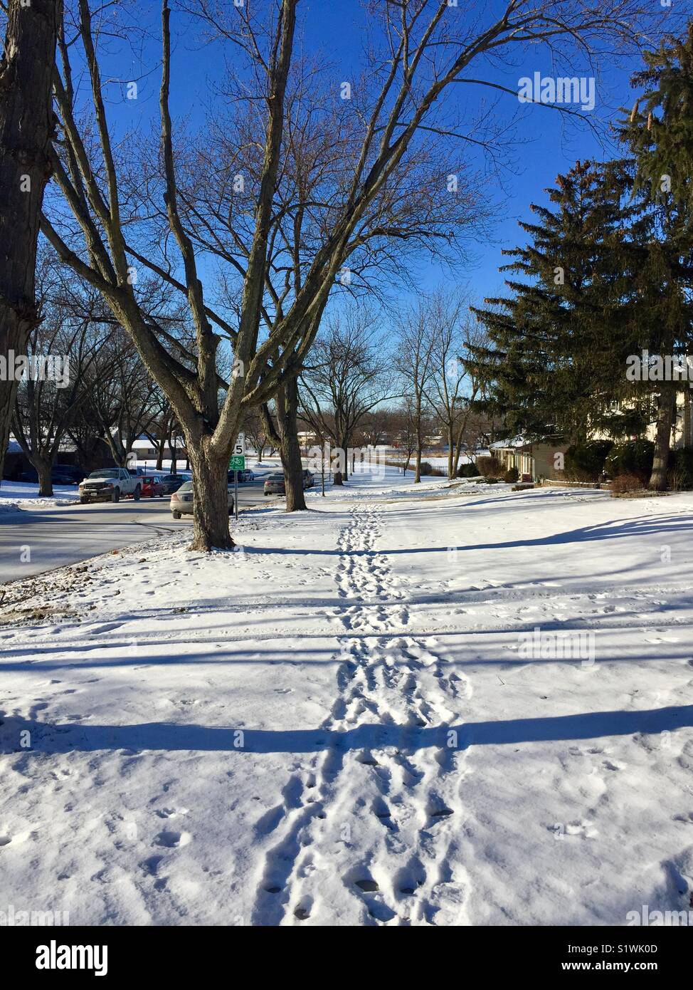 Walk in snow path Stock Photo - Alamy