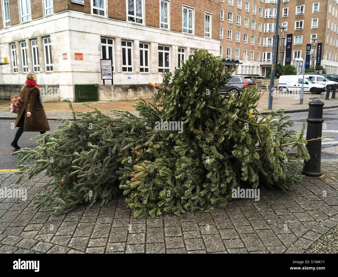 Abandoned christmas trees hi-res stock photography and images - Alamy
