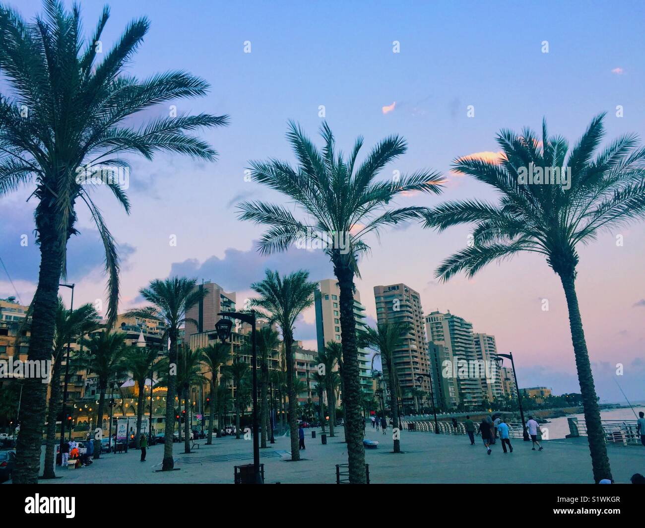 Palm trees beirut lebanon hi-res stock photography and images - Alamy