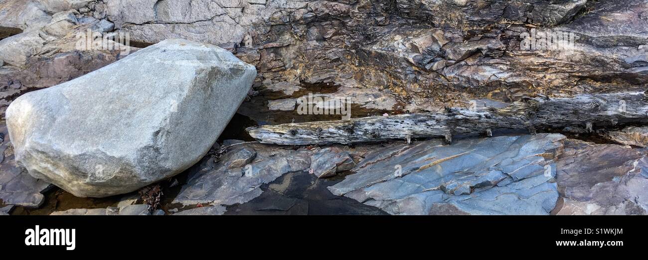 Rock and fallen tree branch Stock Photo - Alamy