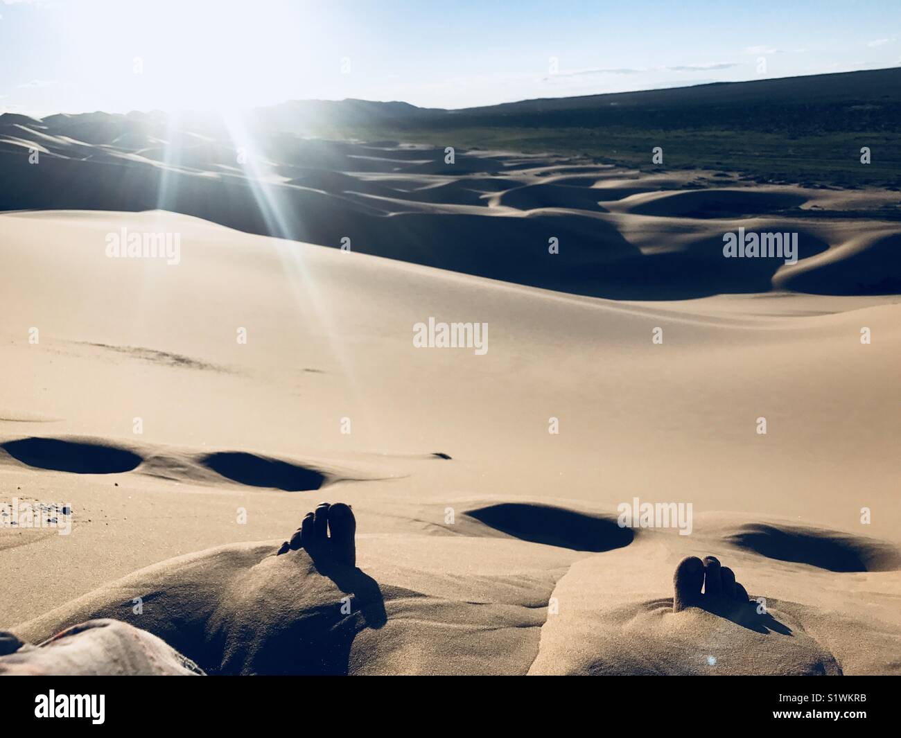 Desert, green land, clear sky & bright sun at one place Stock Photo - Alamy