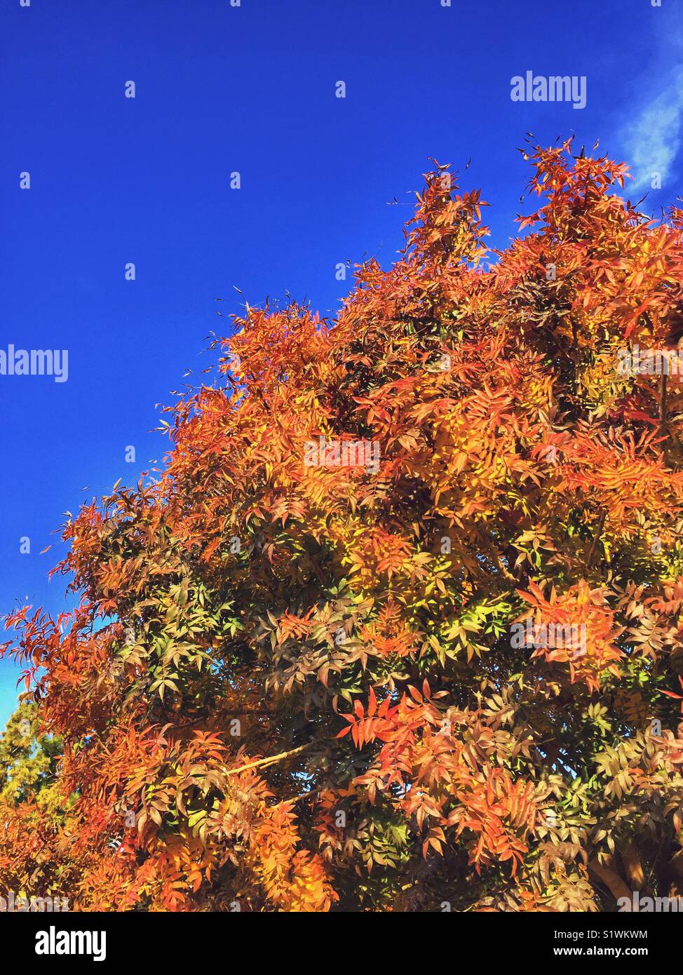 The Arrival of Autumn Stock Photo - Alamy