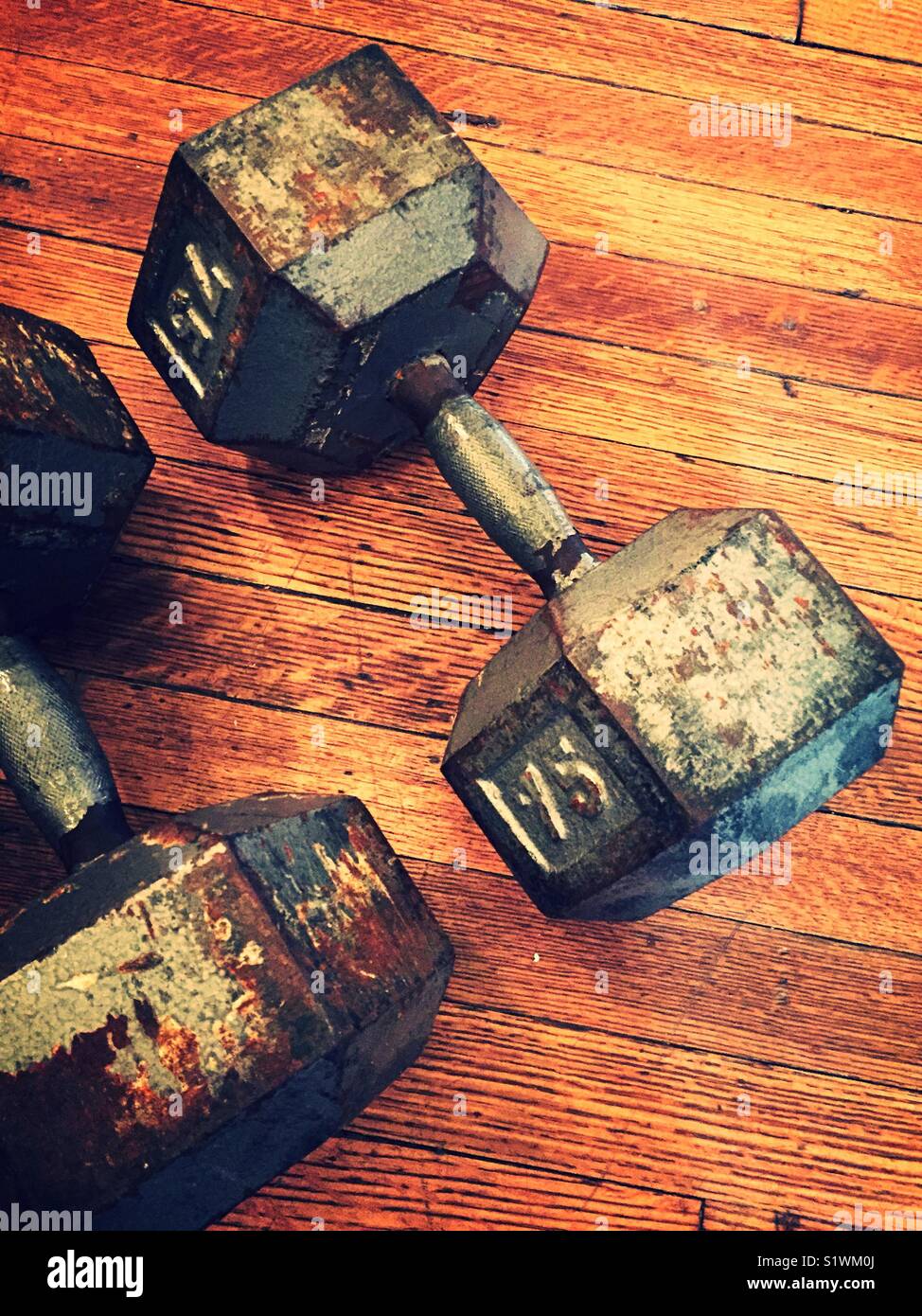Vintage 75 pound dumbbells on hardwood gym floor, USA Stock Photo - Alamy