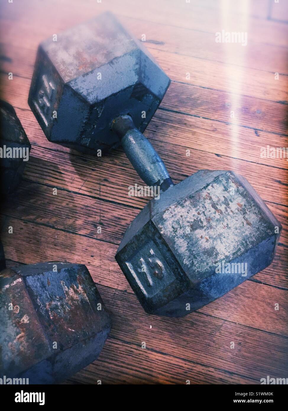 Vintage 75 pound dumbbells on hardwood gym floor, USA Stock Photo - Alamy