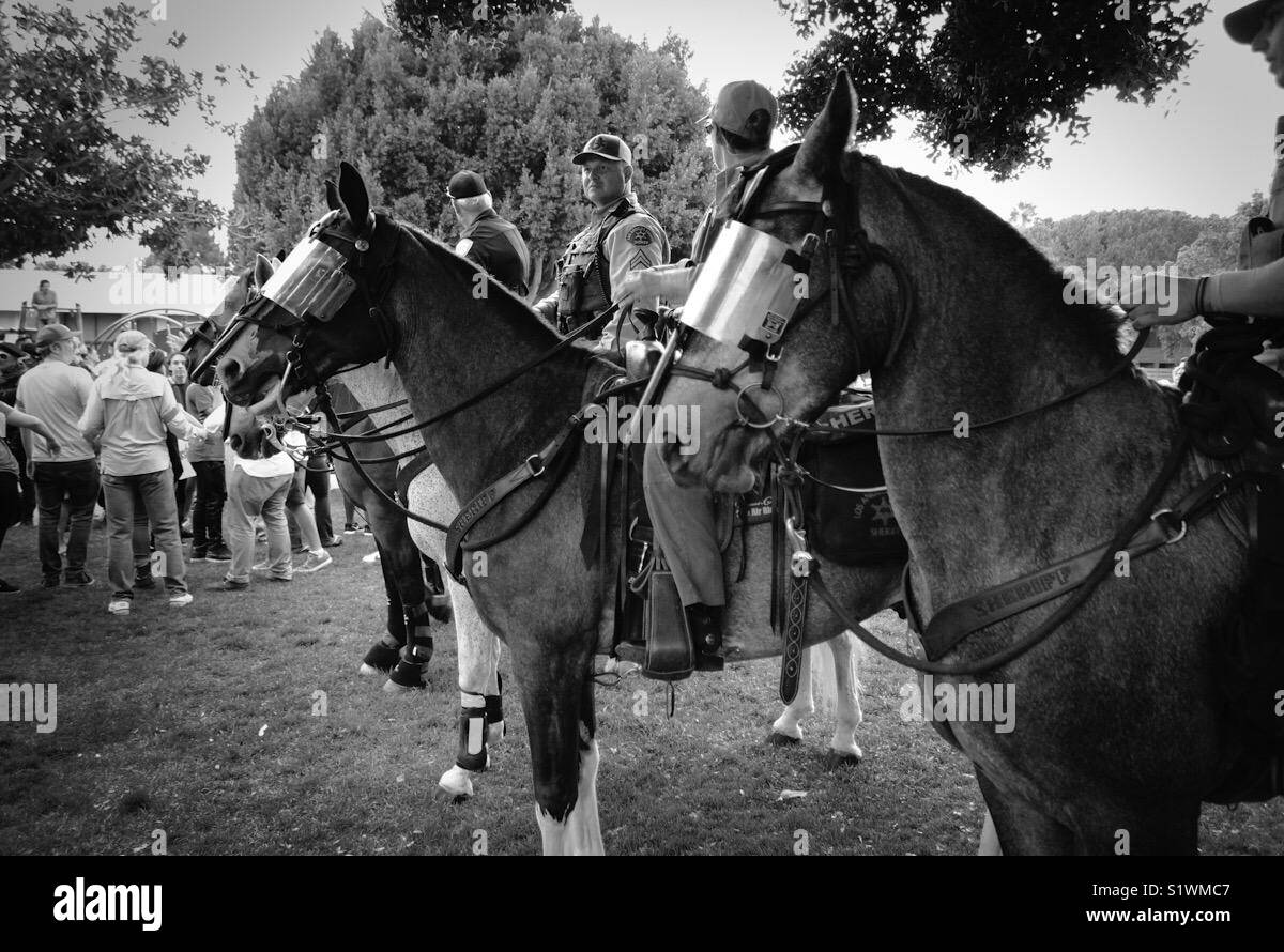 Mounted patrol hi-res stock photography and images - Alamy