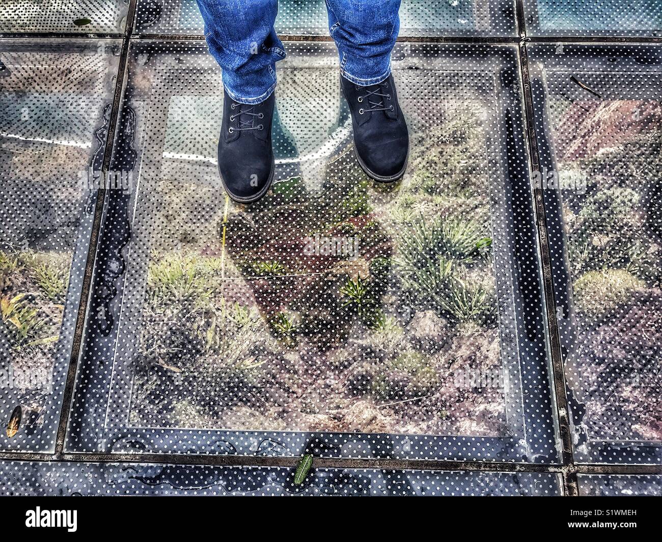 Person standing on the glass skywalk viewing platform 580m above the ...