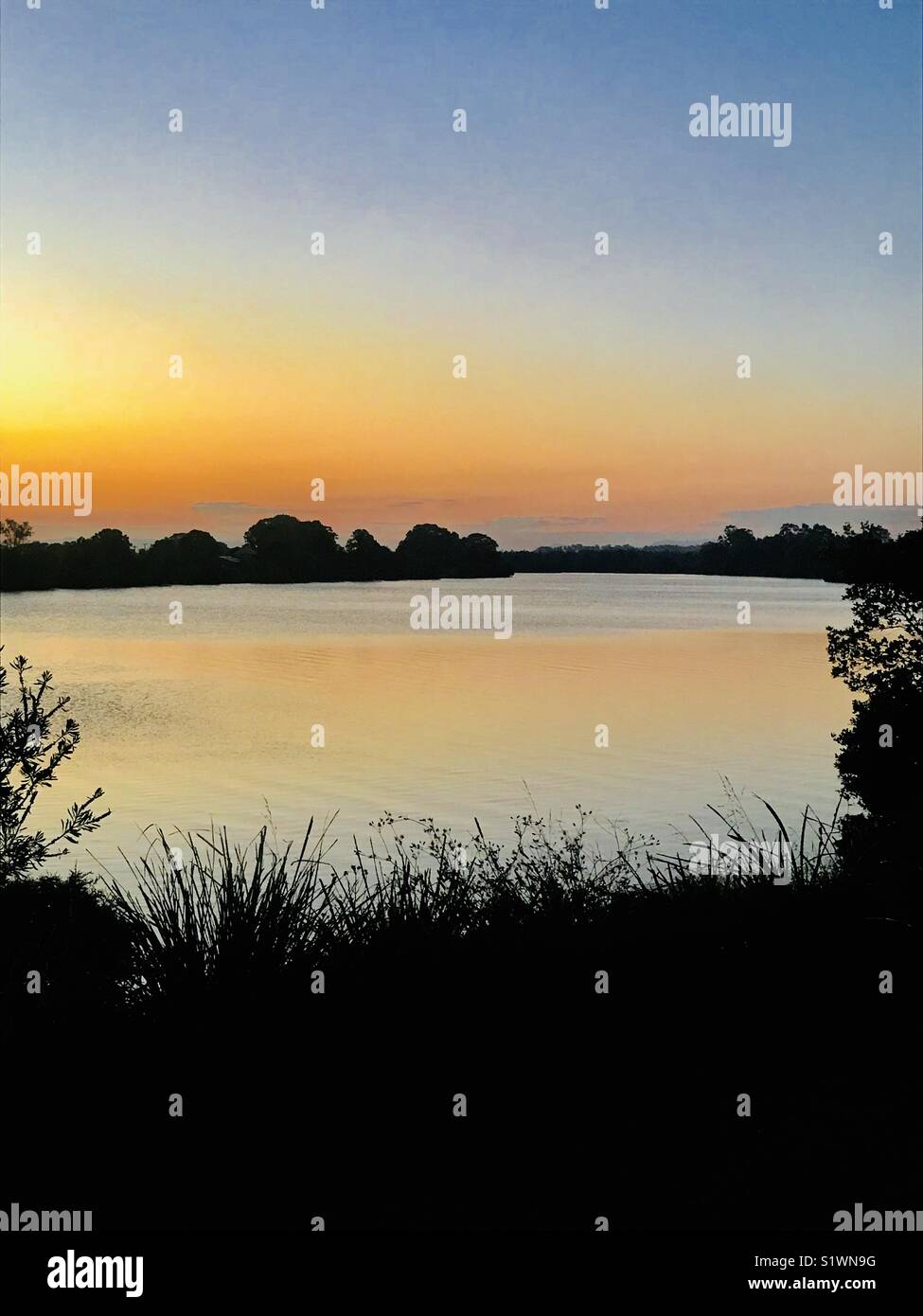 Taree hi-res stock photography and images - Alamy