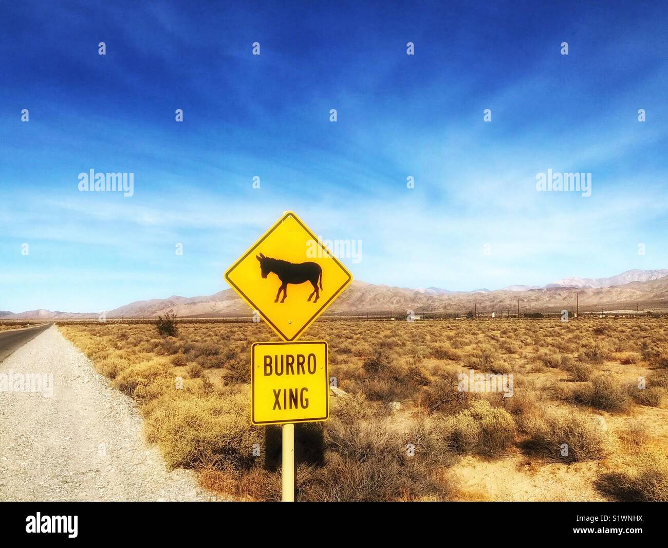 Burro crossing hi-res stock photography and images - Alamy