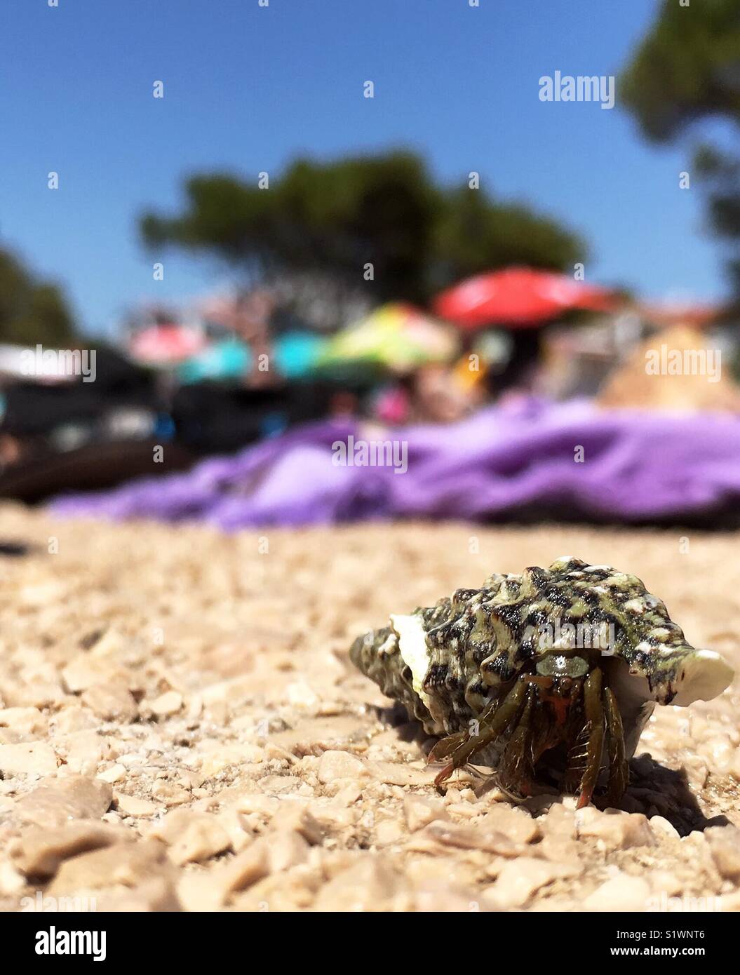 Newfriend hi-res stock photography and images - Alamy