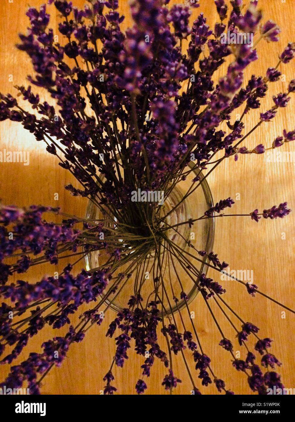 A vase of lavender flowers Stock Photo - Alamy