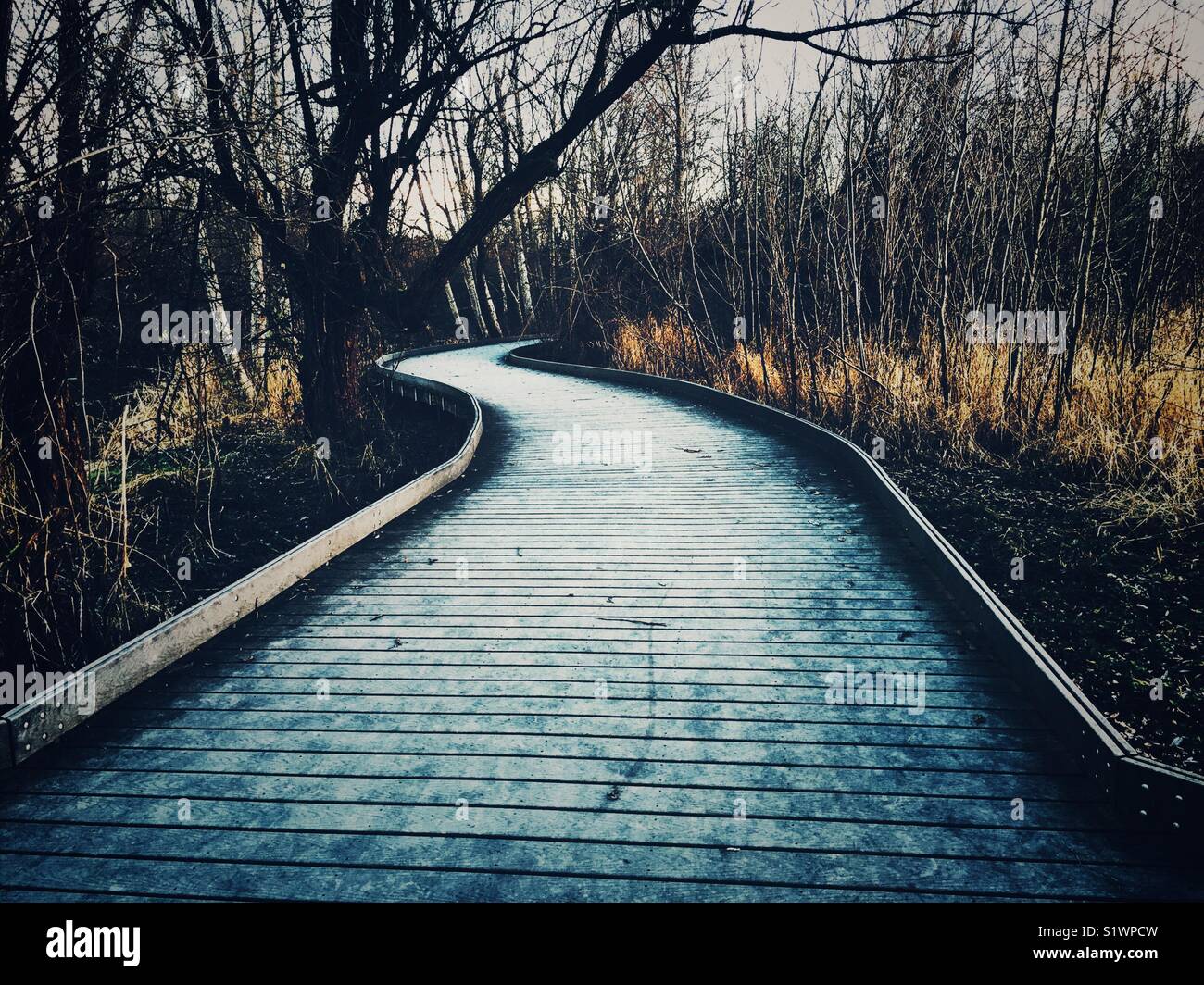 Winding through the woods hi-res stock photography and images - Alamy