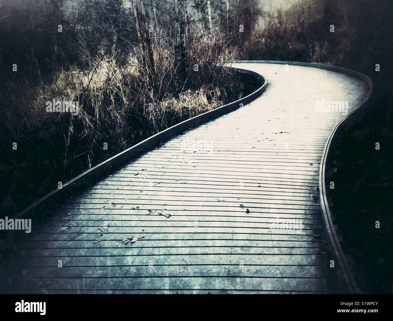 Winding through the woods hi-res stock photography and images - Alamy