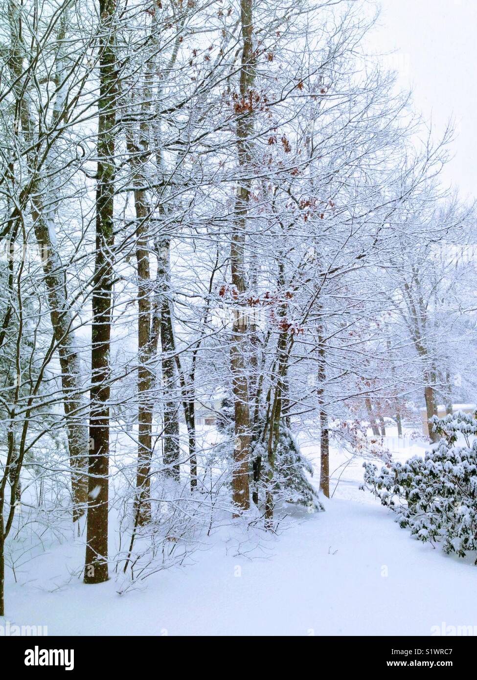 First snowstorm hi-res stock photography and images - Alamy