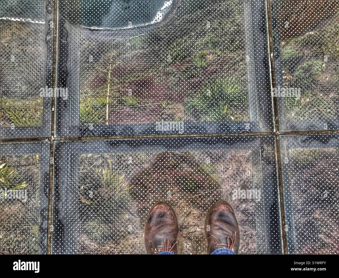 POV standing on the glass skywalk viewing platform, 580m above the sea ...