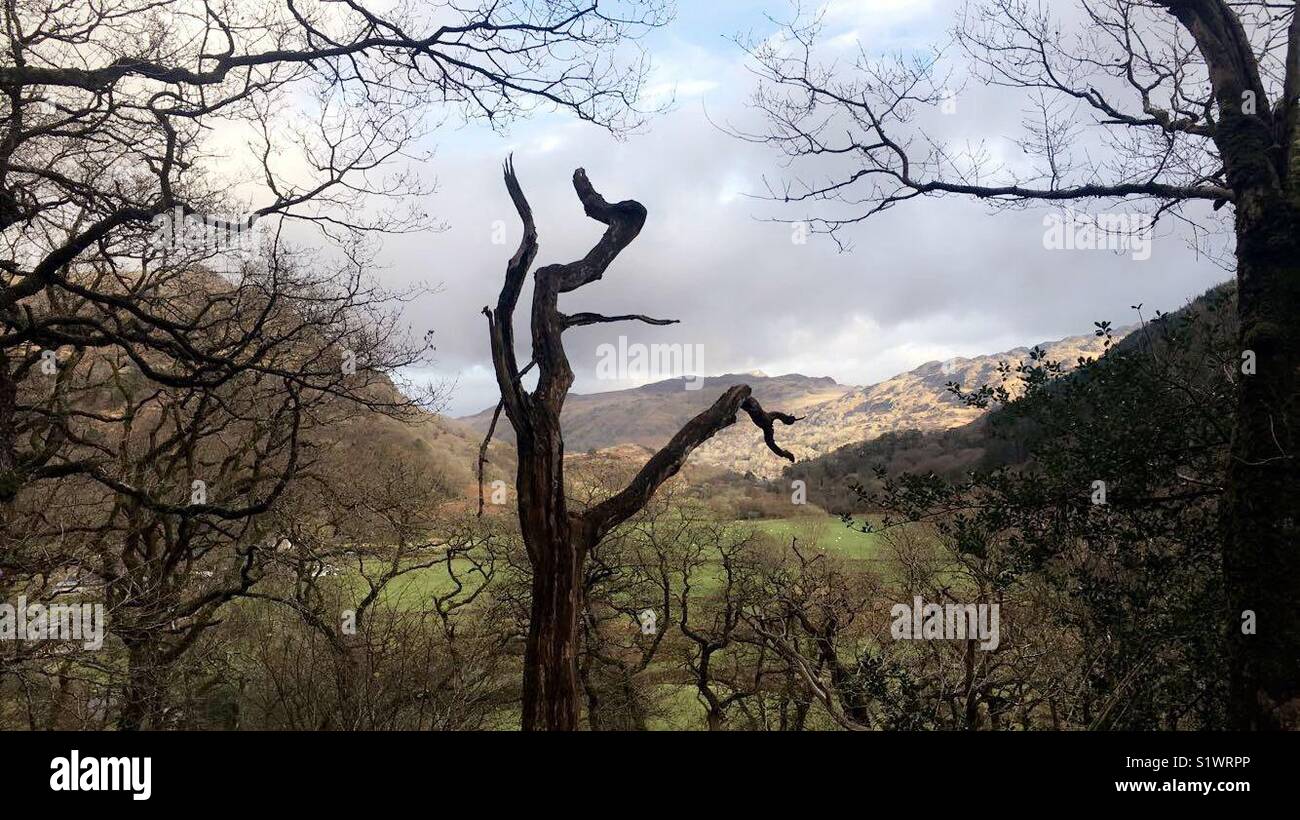 Snowden mountains hi-res stock photography and images - Alamy