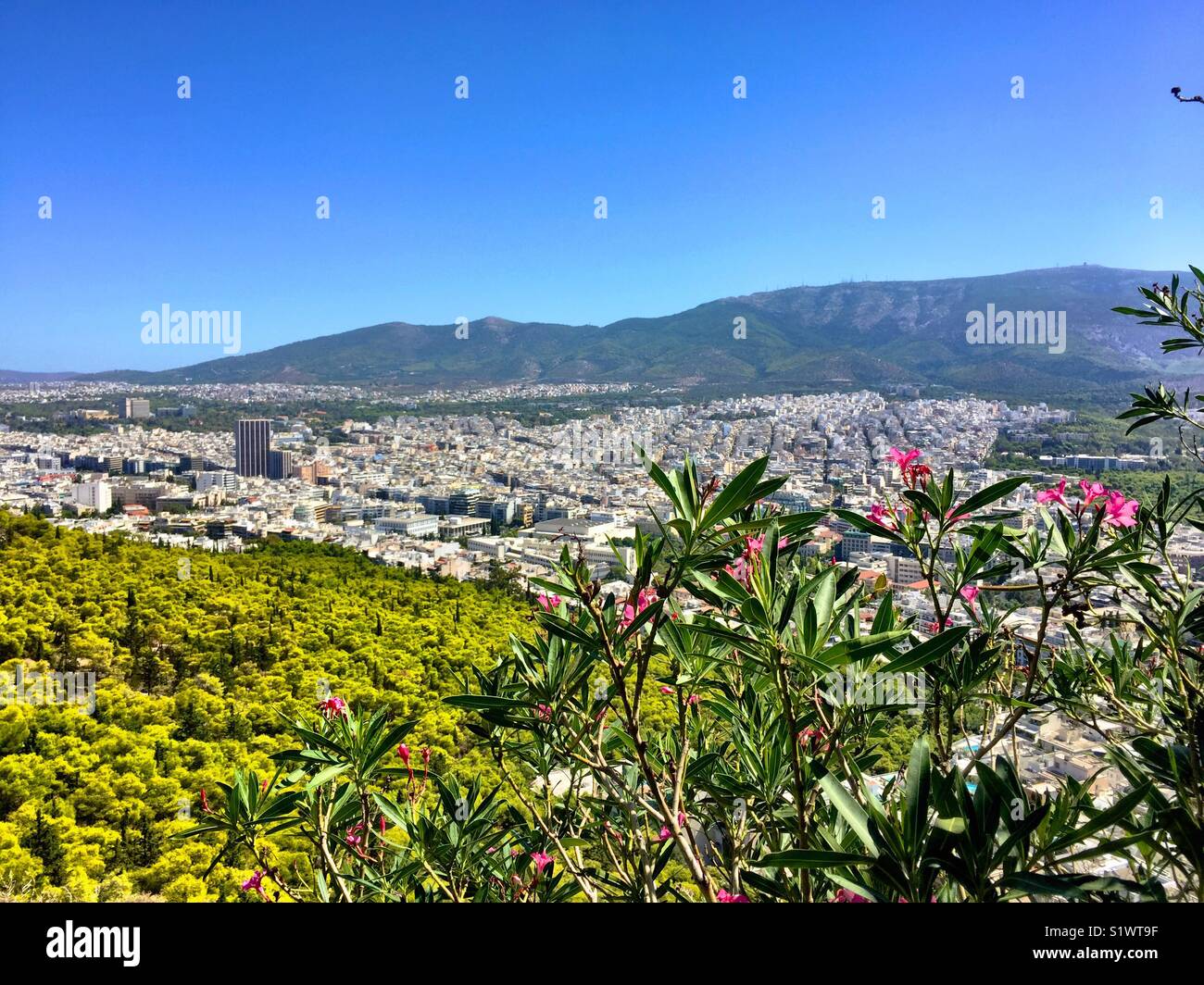 Forefront view point hi-res stock photography and images - Alamy