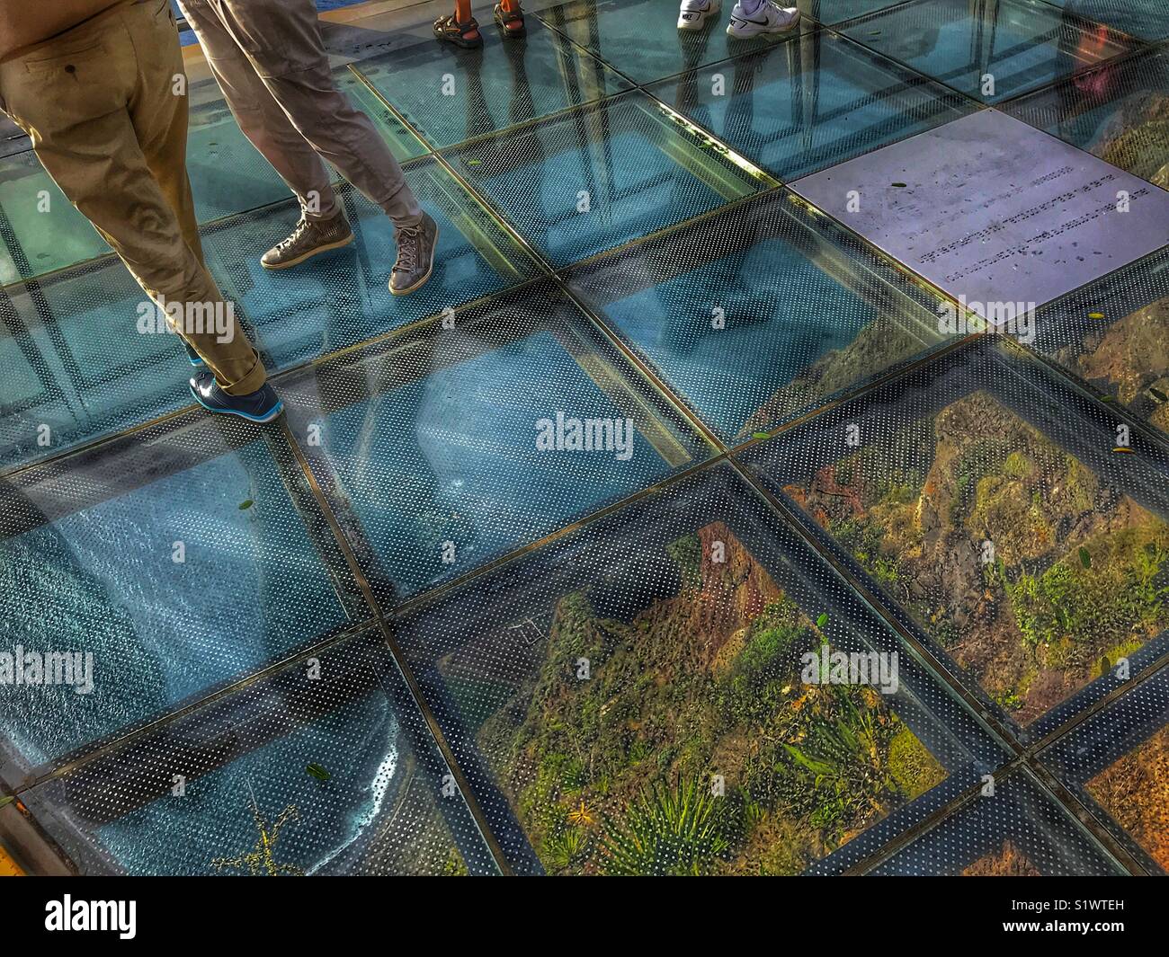 People standing on the glass skywalk viewing platform 580m above the ...