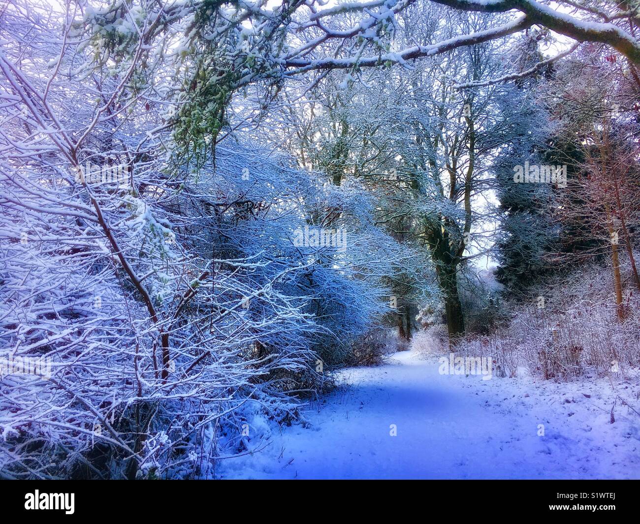 Perth winter hi-res stock photography and images - Alamy