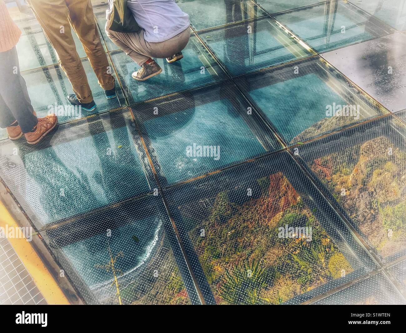 People standing on the glass skywalk viewing platform 580m above the ...