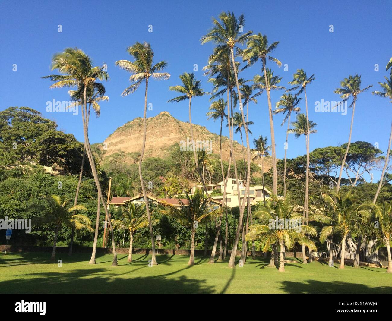 The Diamond Head Stock Photo - Alamy