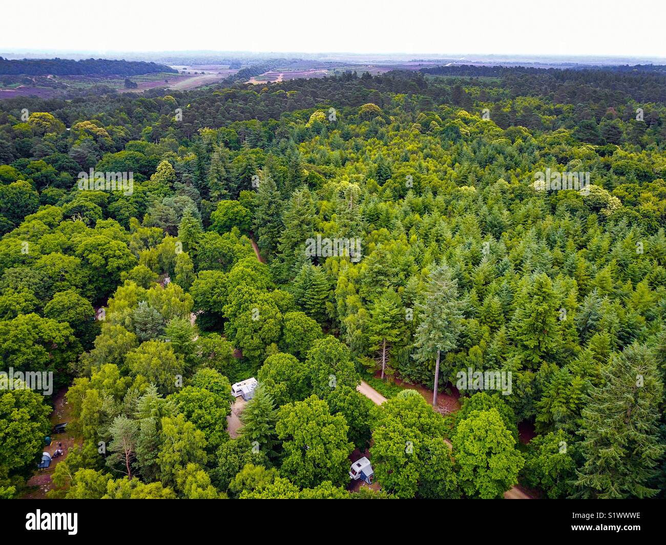New Forest Camping Stock Photo - Alamy