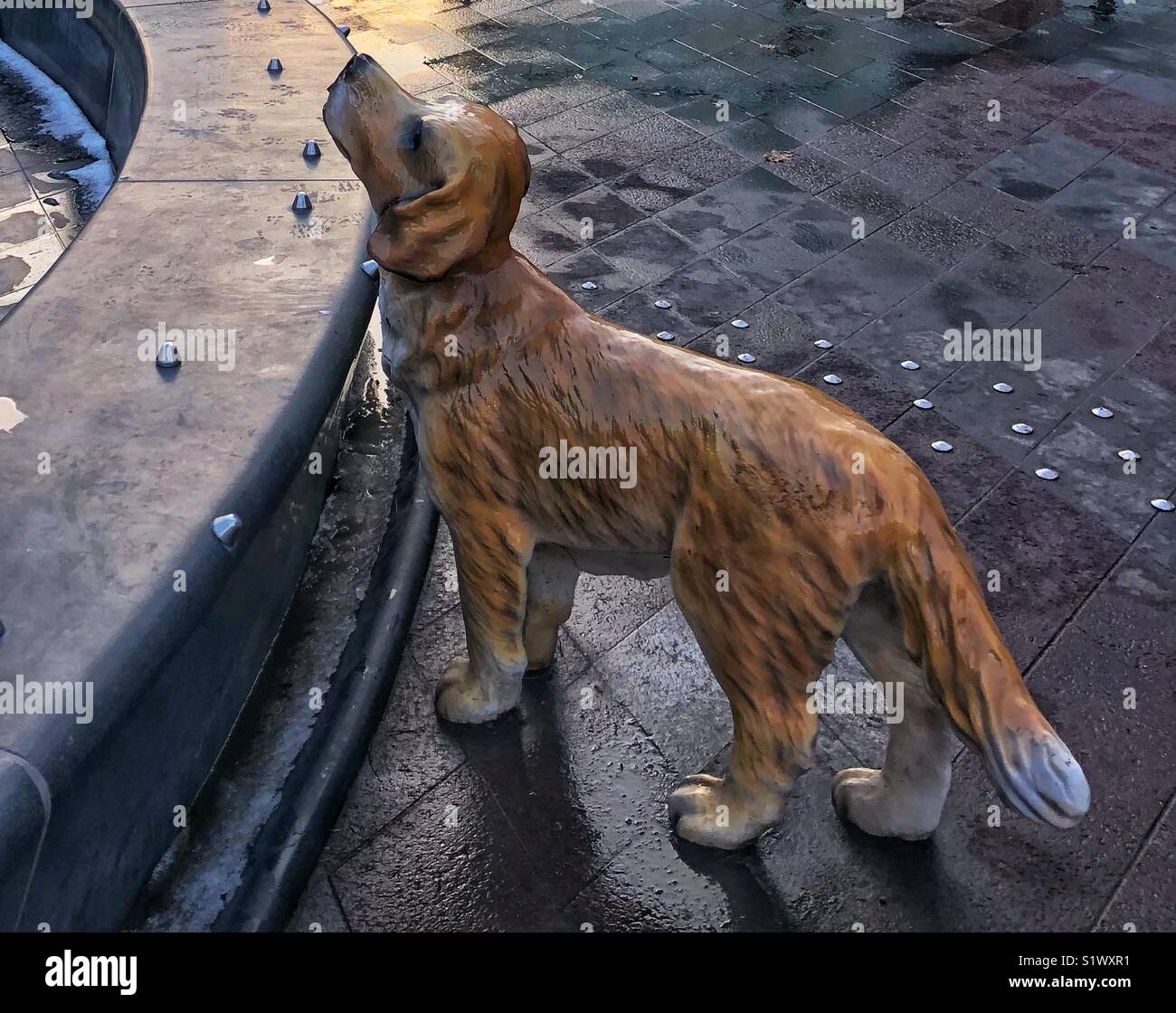 Statue of a dog on a city street in Toronto Stock Photo - Alamy