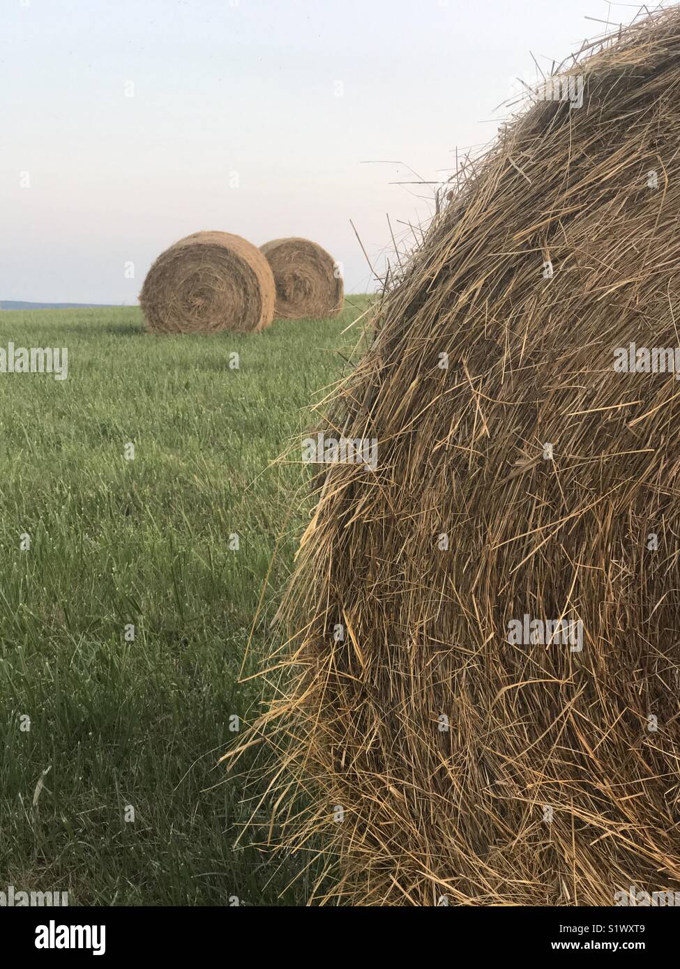 Bails of grass hi-res stock photography and images - Alamy