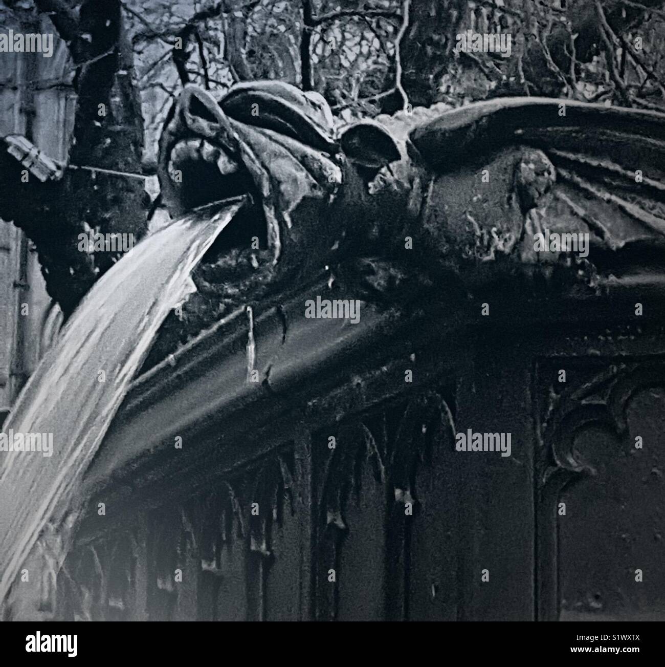 Black and white gargoyle hi-res stock photography and images - Alamy
