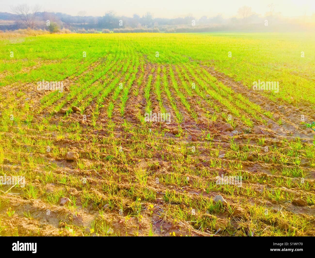 Country pakistan hi-res stock photography and images - Alamy