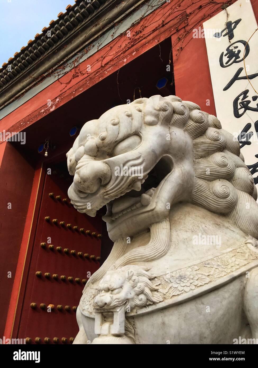 Chinese guardian lion statue Stock Photo - Alamy Chinese guardian lion statue Stock Photo - Alamy