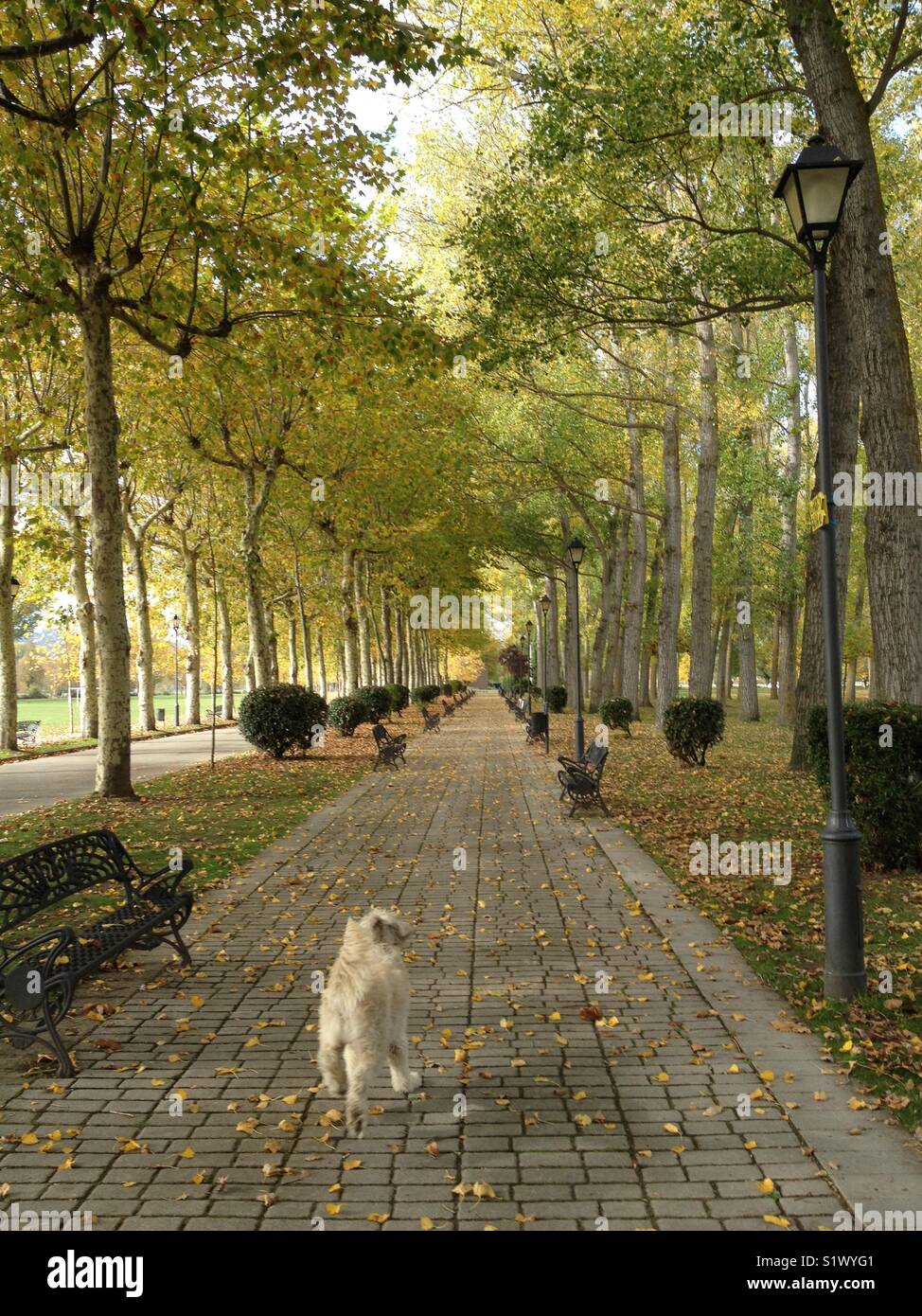 Walk through the park Stock Photo - Alamy